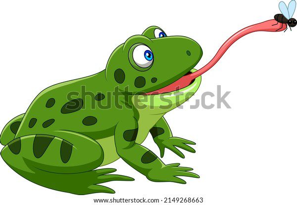 Alimentación de ranas pequeñas todo lo que debes saber | PSICOLOGÍANOVA