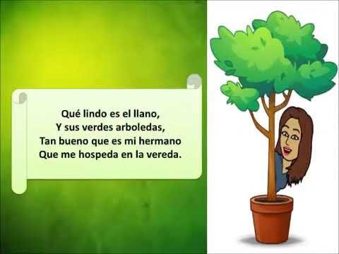 Coplas Tradicionales de Colombia Tesoro Cultural en Versos | PSICOLOGÍANOVA