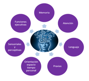 La Función Cognitiva Significado y Aplicaciones | PSICOLOGÍANOVA