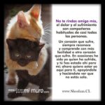 Carta de ánimo para una amiga Cómo levantar su ánimo | PSICOLOGÍANOVA