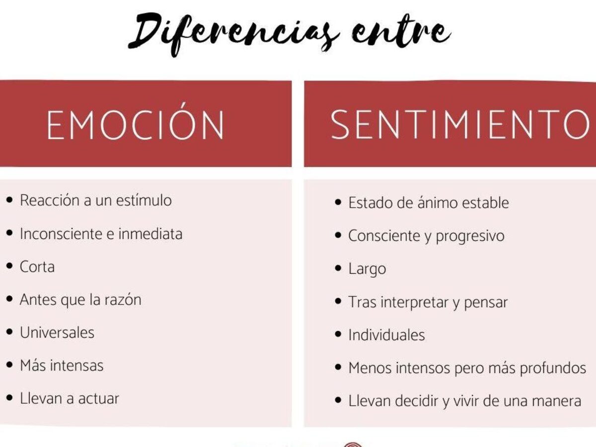 Explorando sentimientos y emociones Un ejemplo revelador | PSICOLOGÍANOVA