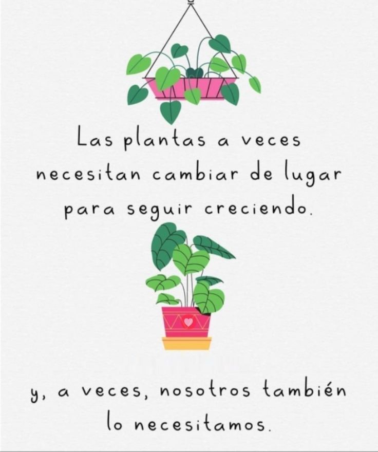Frases inspiradoras de plantas para reflexionar | PSICOLOGÍANOVA