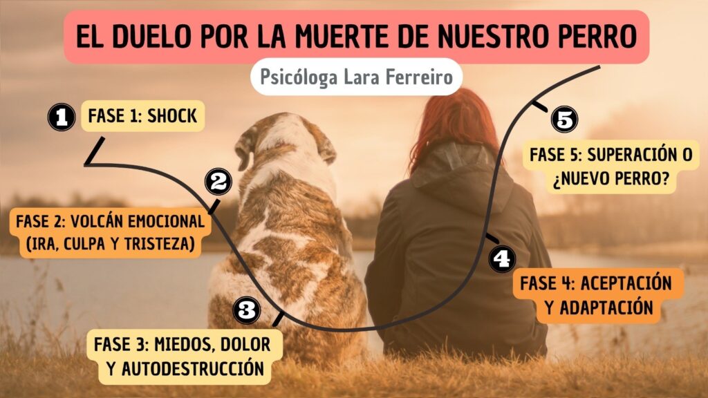 Terapia de duelo por pérdida de mascotas | PSICOLOGÍANOVA
